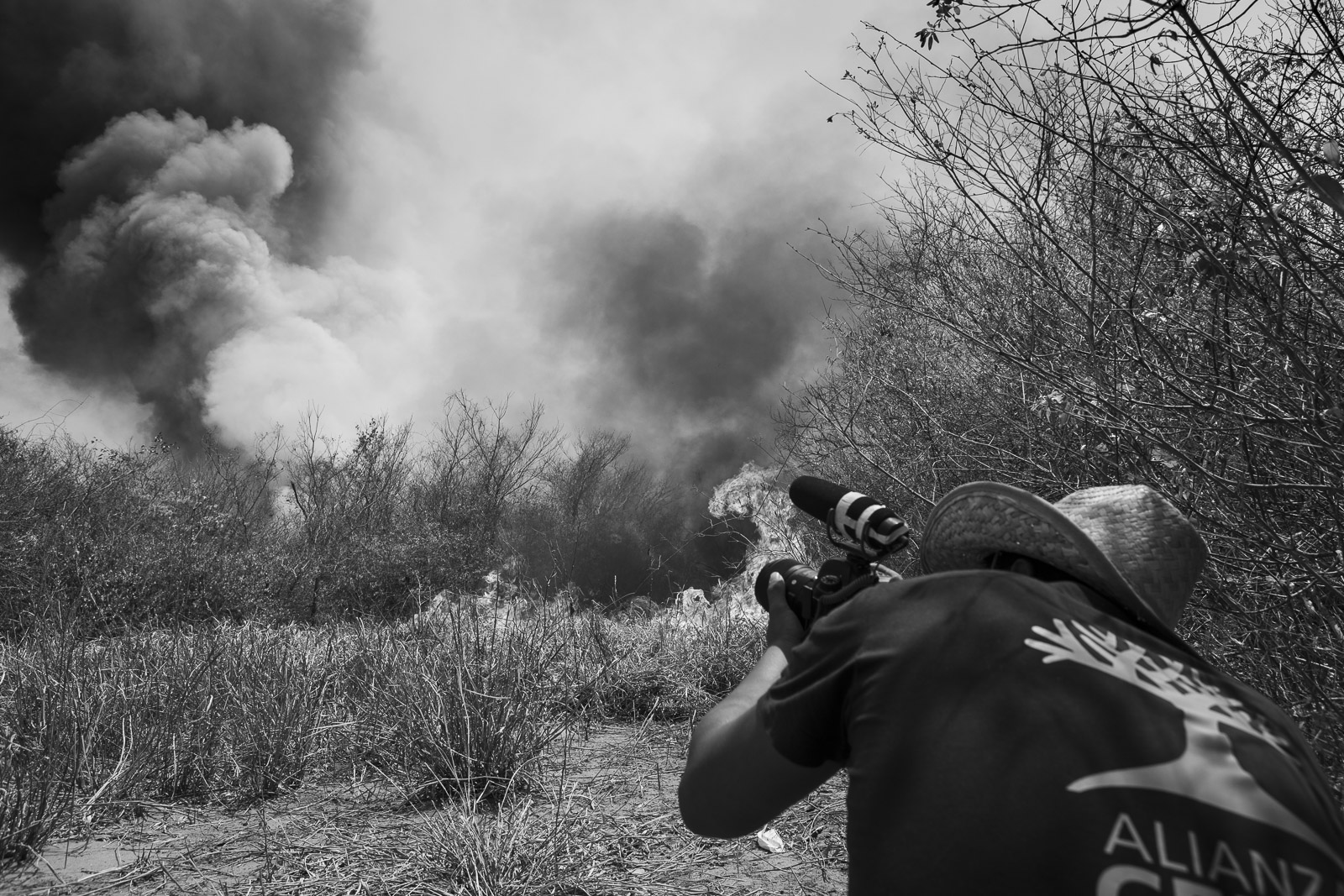 Between Ashes and Hope: Bolivia’s Amazon Fires Through The Lens of Two ...