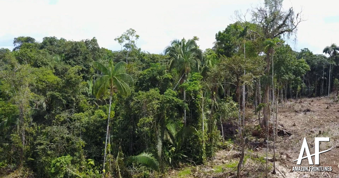 Deforestation in the Ecuadorian Amazon: 50 years of oil-driven ...