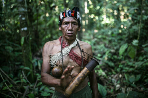 Sign the Pledge to Stand with Indigenous Peoples - Amazon Frontlines